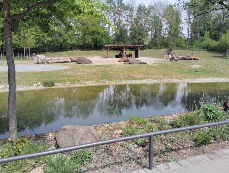 ドイツ／ヘラブルン動物園～ミュンヘンの見事な無柵放養式展示～ | Zooっと旅しよう！動物観察旅専門メディア